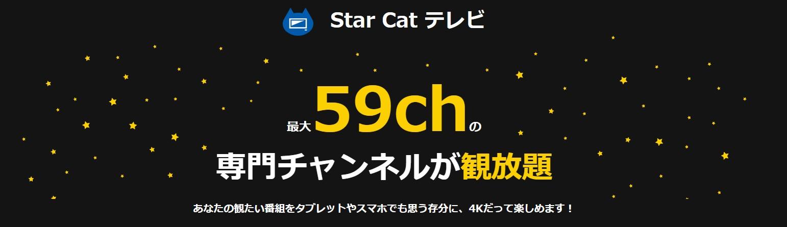 スターキャット光の評判を徹底考察！トラブル情報や解約金詳細まとめ